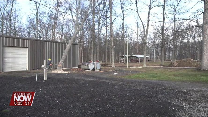 Students from Apollo Career Center take part in cutting down a ...