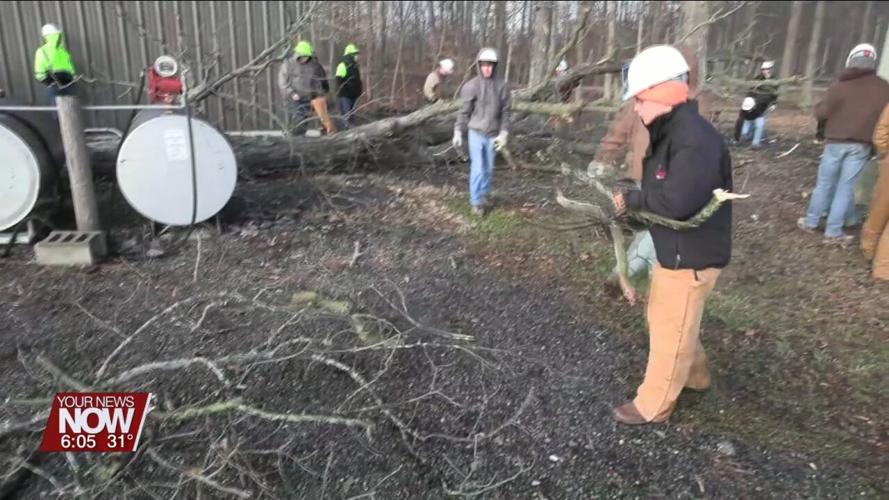 Students from Apollo Career Center take part in cutting down a ...