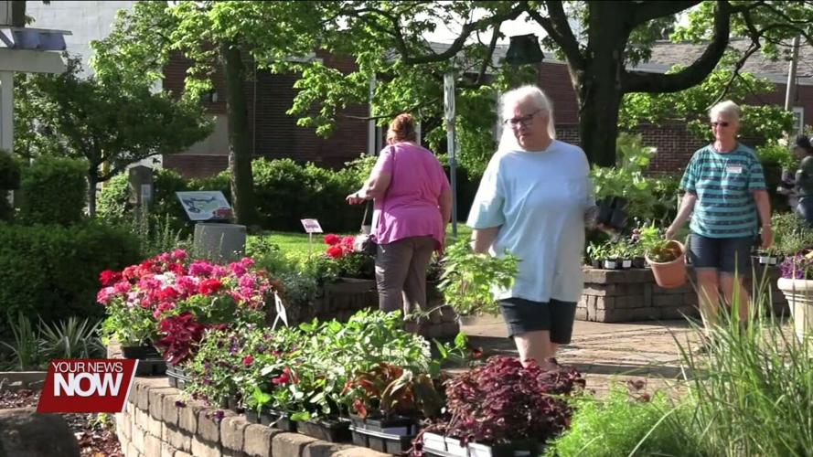 Area gardeners get some new plants thanks to annual fundraising sale ...