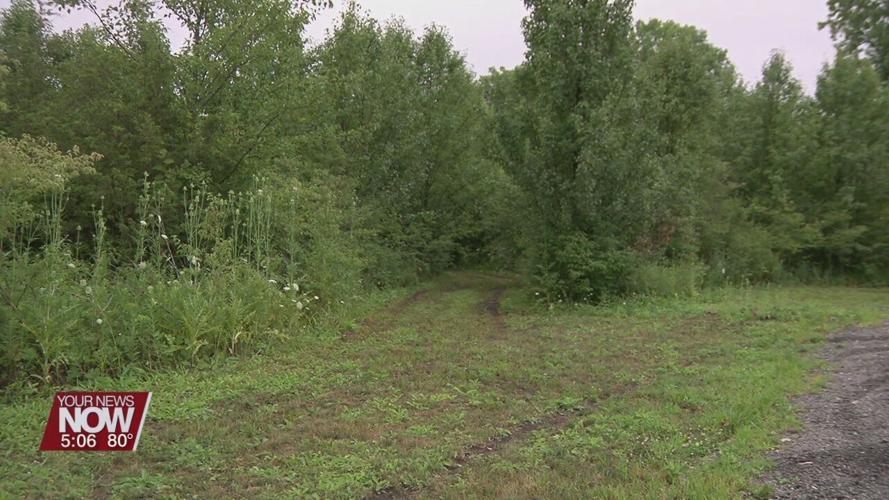 Applications open for communities to create more green space and ...