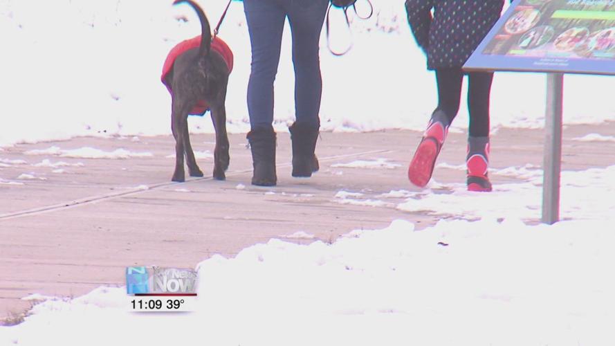 Dog owners brave the cold for the seasonal "Hound Hike" | News ...
