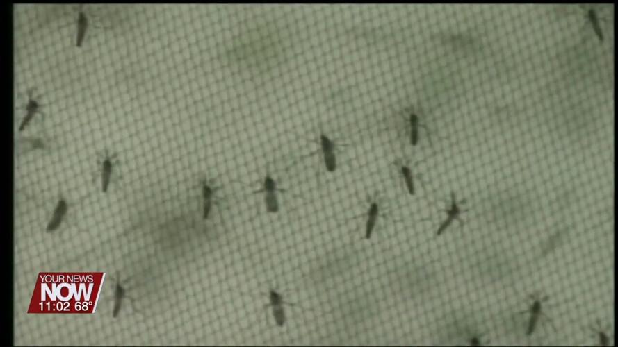 Pool of mosquitoes test positive for West Nile Virus in Van Wert County ...