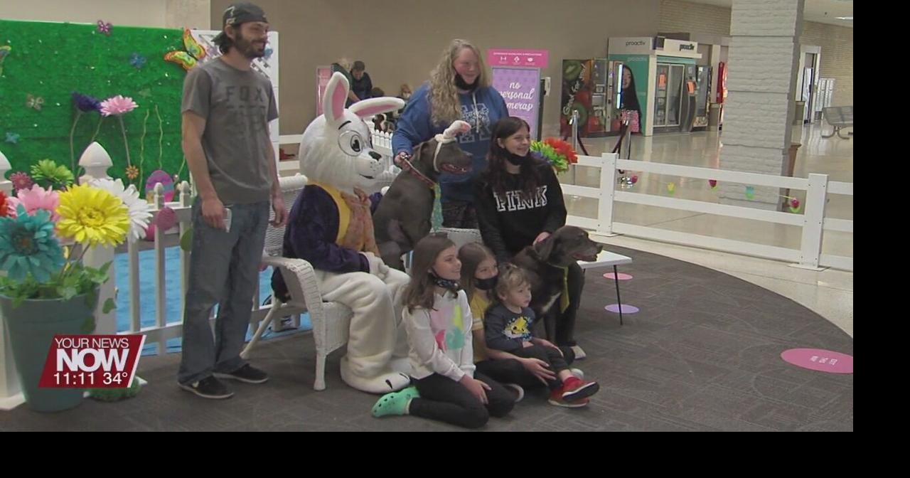 Easter bunny pet photo-op at the Lima Mall | News | hometownstations.com