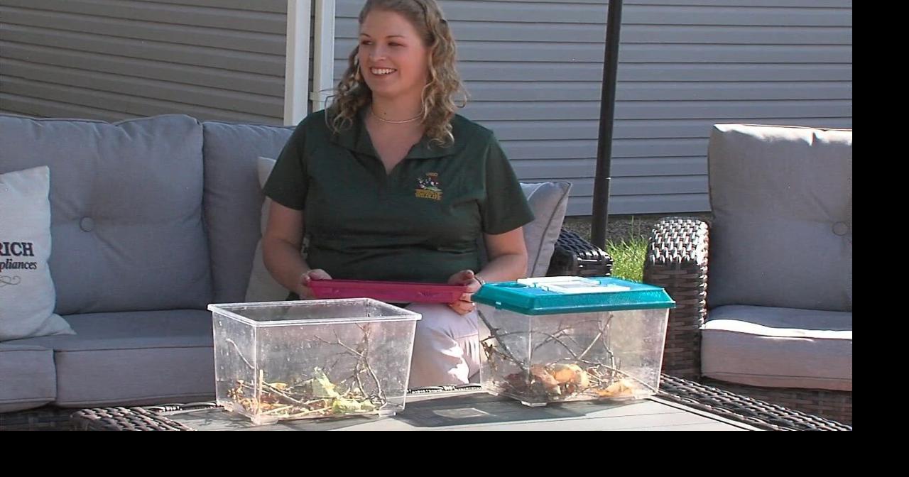 Meet the new Division of Wildlife Communication Specialist ...