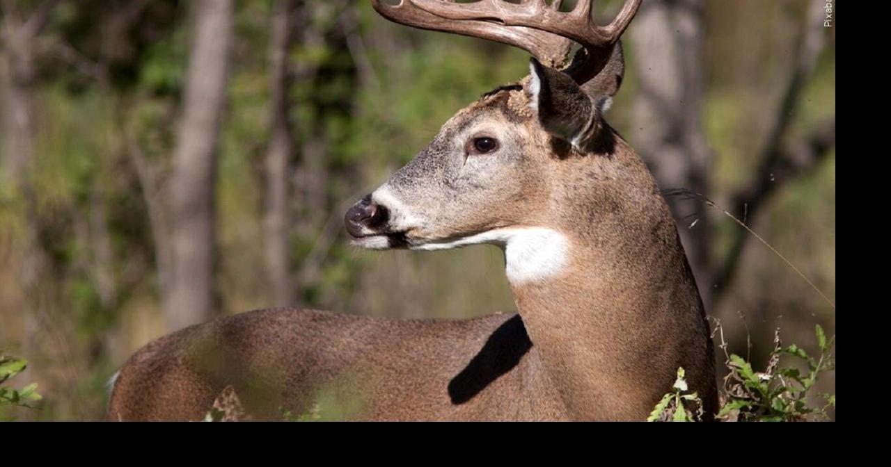 Ohio’s Deer Gun Hunting Season Begins Monday, Dec. 2 | News ...