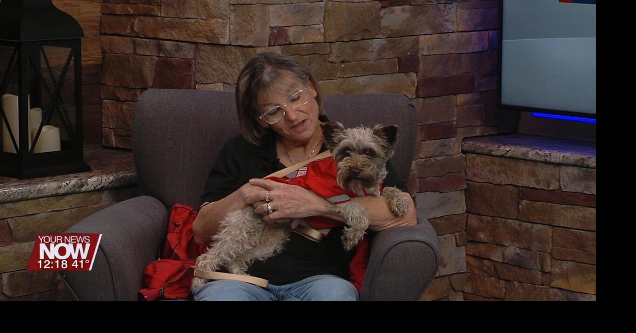 Deb's Dogs | | hometownstations.com