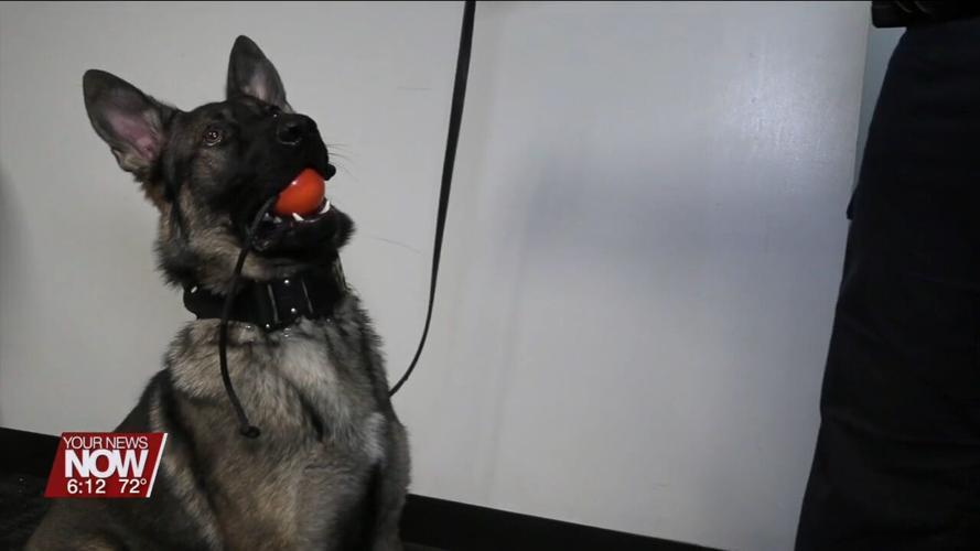 Lima Police Department introduces their newest officer | News ...