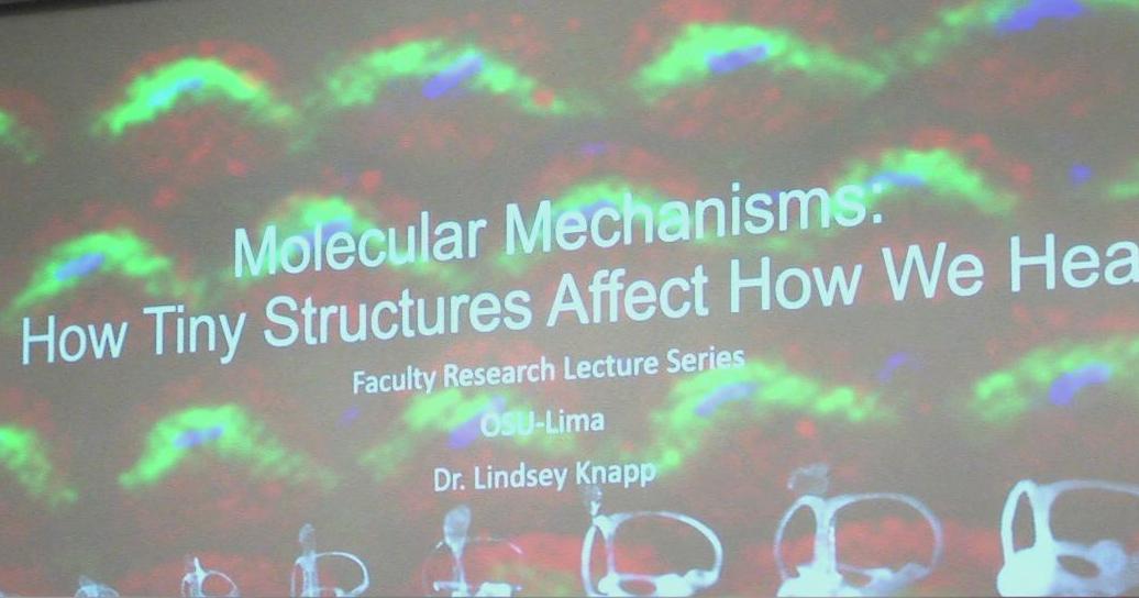 OSU students learn more about the ear from visiting lecturer of biology ...