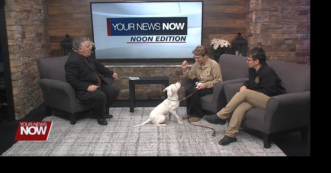 Interview with Julie Shellhammer and Michelle Scott ...