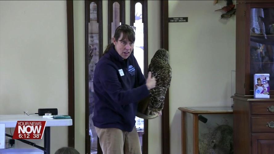 Kids in the Nature Pals program get to learn about owls through fun ...