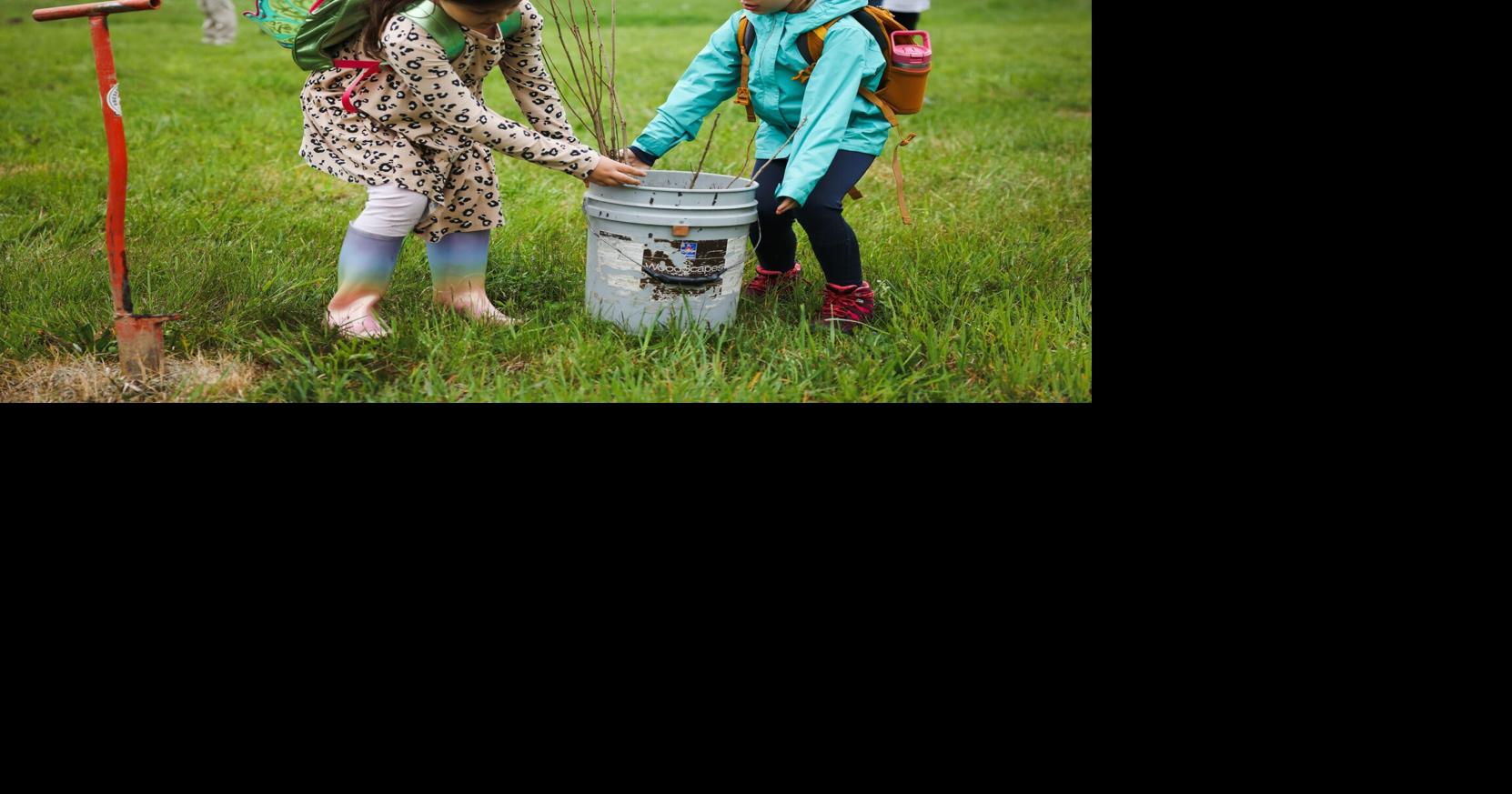 Committed to conservation: ODNR announces five tree planting events ...