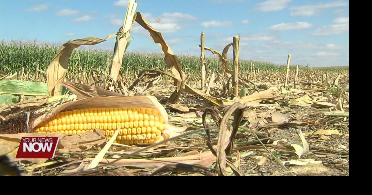 Treasurer Robert Sprague getting the word out about Ag-LINK program to ...