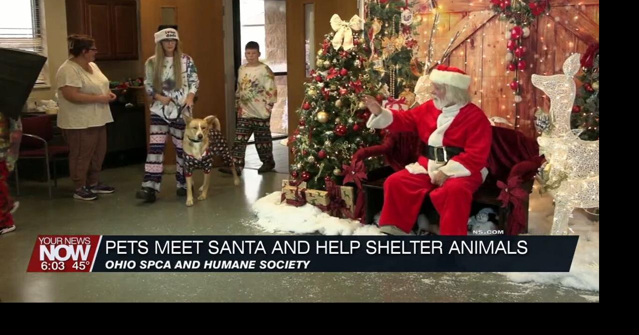 Pets meet and take photos with Santa to help raise money for Ohio SPCA ...