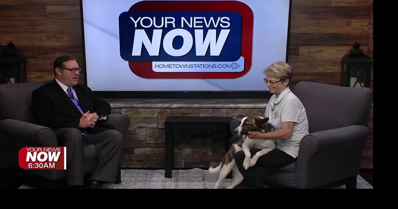 Pet of the Week with the Allen County Dog Warden! | First Edition ...