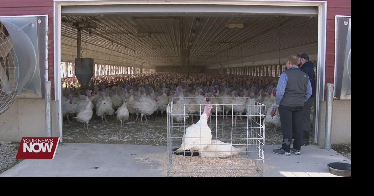 Cooper Farms talking turkey sales and production | News ...