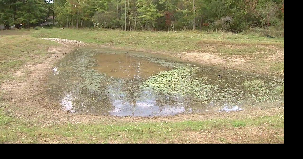 Allen County health officials urge mosquito and tick precautions as ...