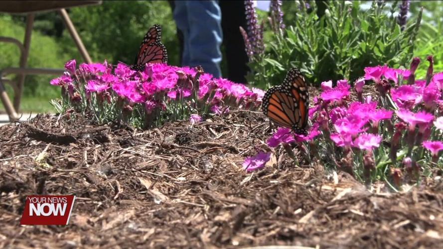 Allen County Board of Developmental Disabilities' second annual ...