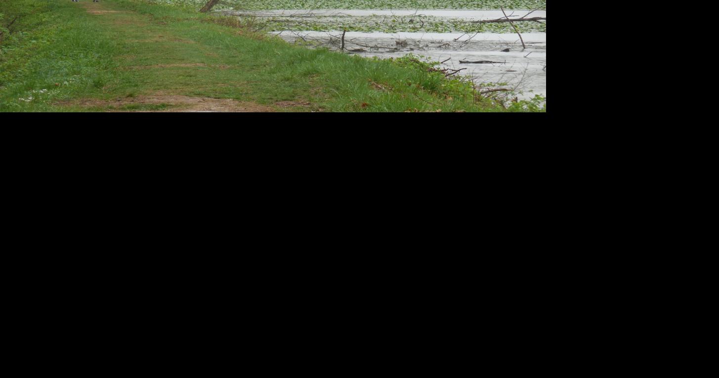 April Showers Hike Invite from Heritage Trails Park District | News ...