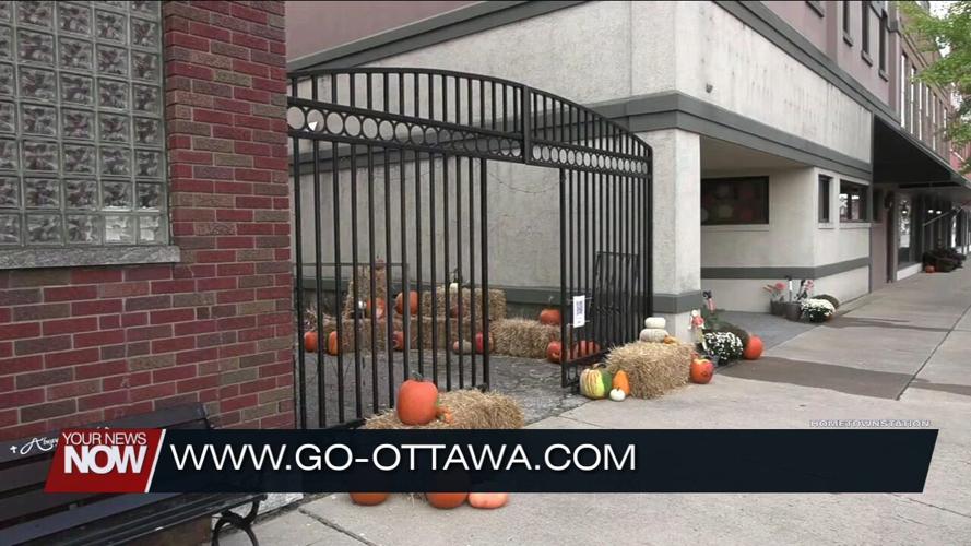 Go Ottawa looking to transform a downtown alley into a social space ...