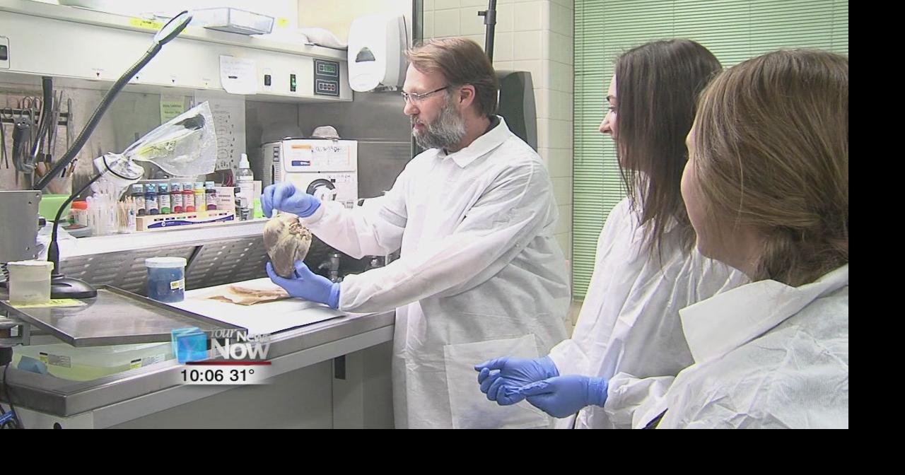 Students explore laboratory careers | News | hometownstations.com