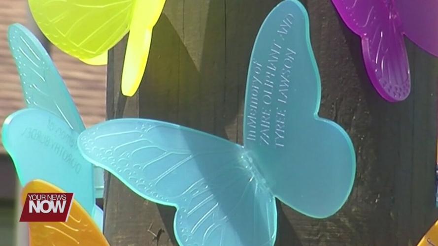 Allen County Board of Developmental Disabilities Butterfly Garden ...