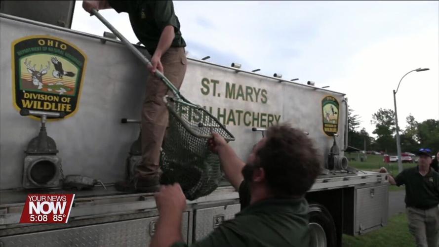 Schoonover Lake stocked with bluegill thanks to the Ohio Department of ...