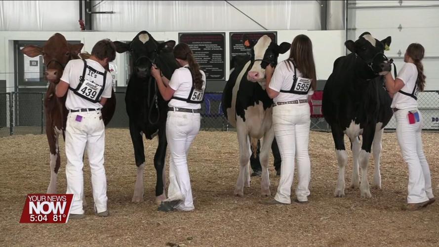 Hard work of the Jr. Fair Board keeps the shows and sales going at the ...