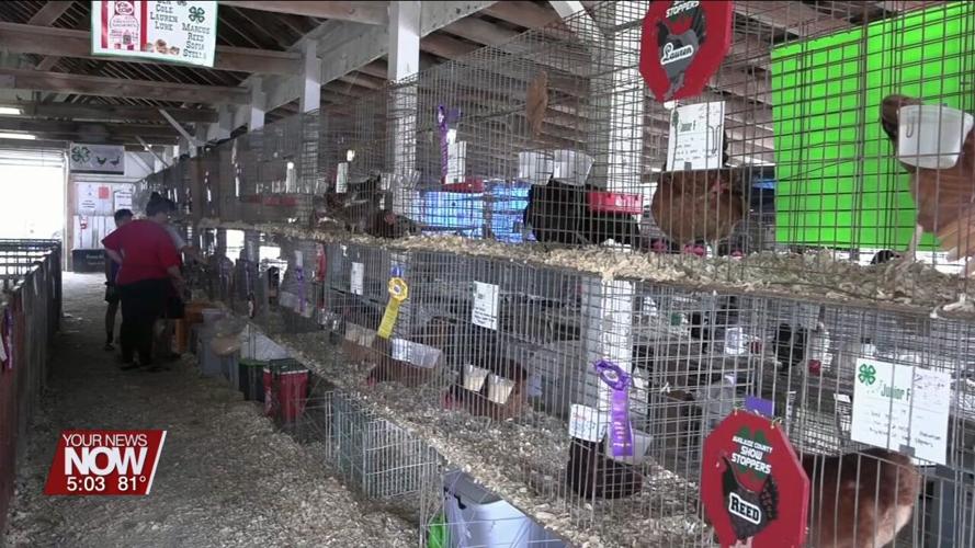 Hard work of the Jr. Fair Board keeps the shows and sales going at the ...