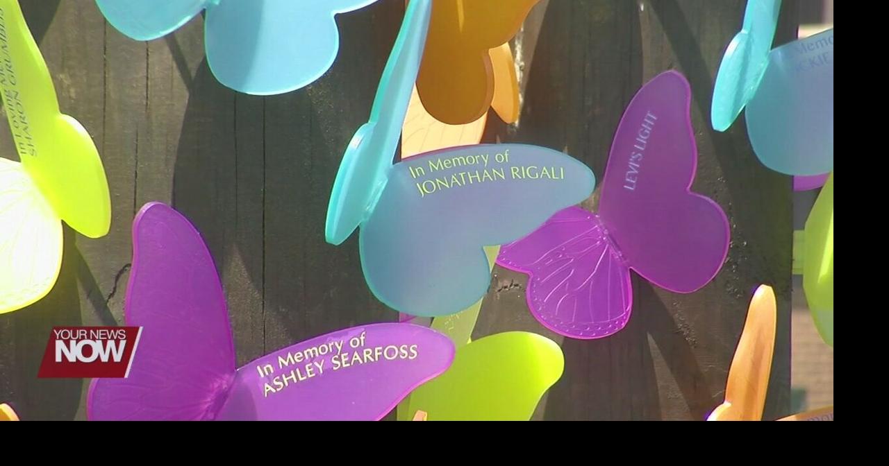 Allen County Board of Developmental Disabilities Butterfly Garden ...