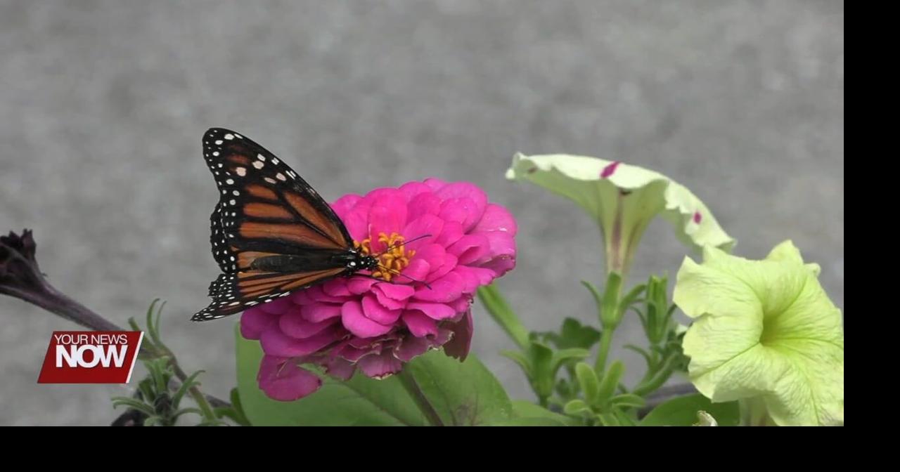Families and friends honor loved ones at the Allen County Board of ...
