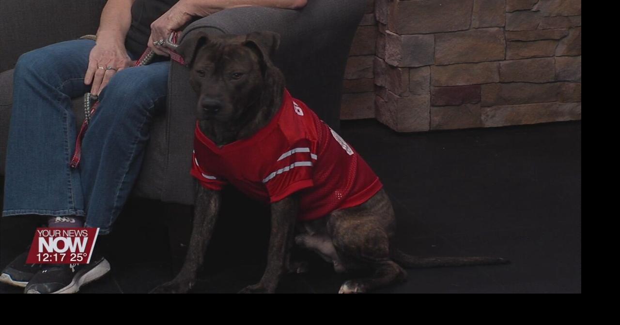 Deb's Dogs | | hometownstations.com