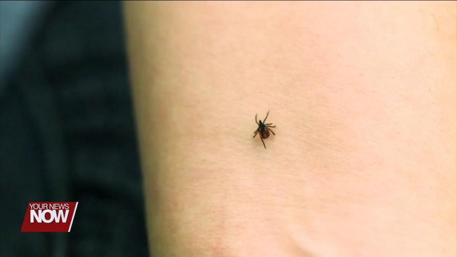 Warming temperatures means that it's tick season and the risk of Lyme ...