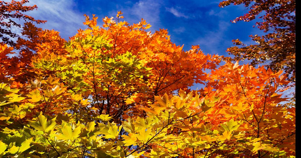 2023 Fall outlook with Meteorologist Nathan Kitchens ...