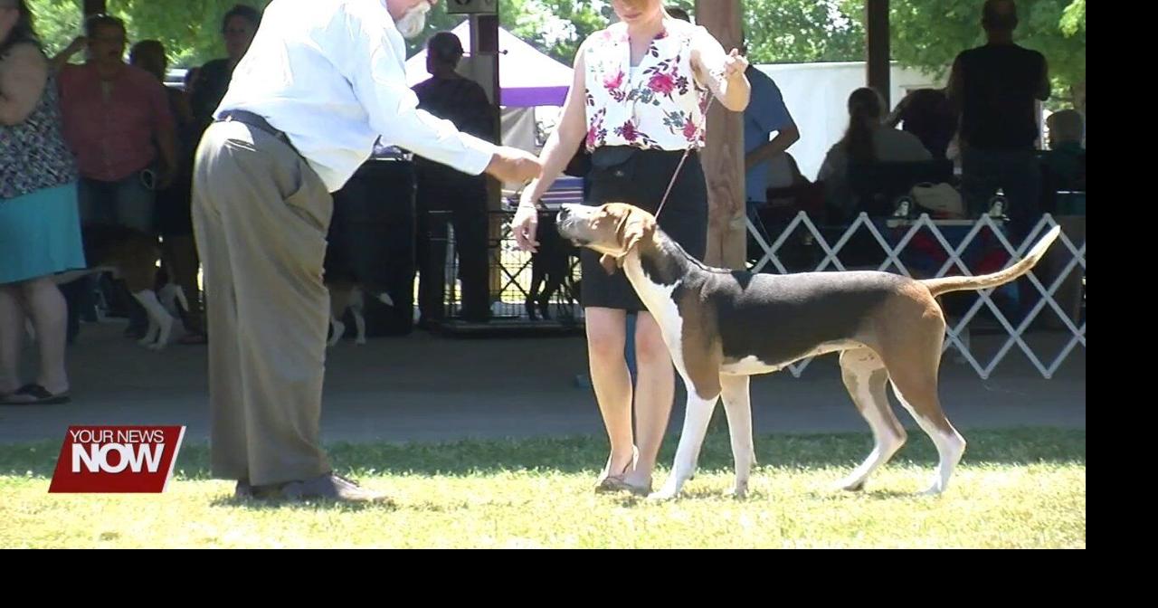 Lima Kennel Club host All Breed Dog Show this weekend | News ...