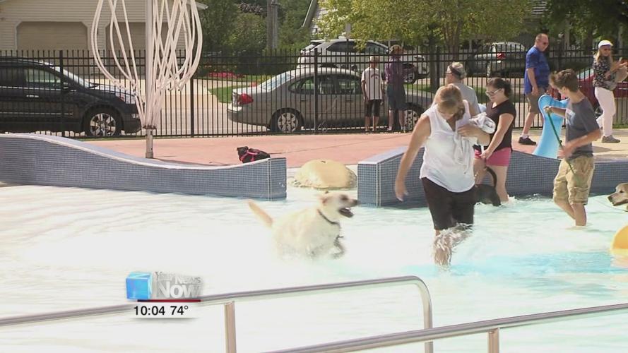 Wapak waterpark puts on Soggy Doggy Day | News | hometownstations.com