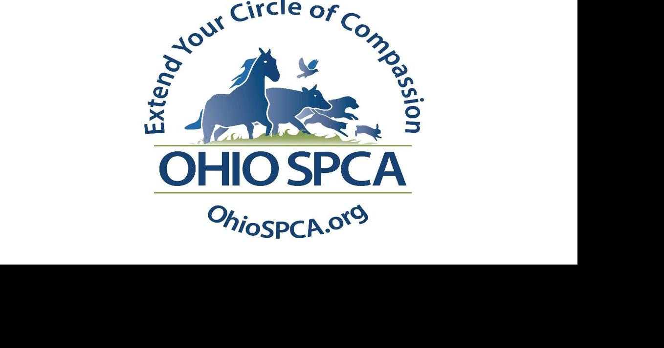 Ohio SPCA seeks information on two skinned canines found in the ...