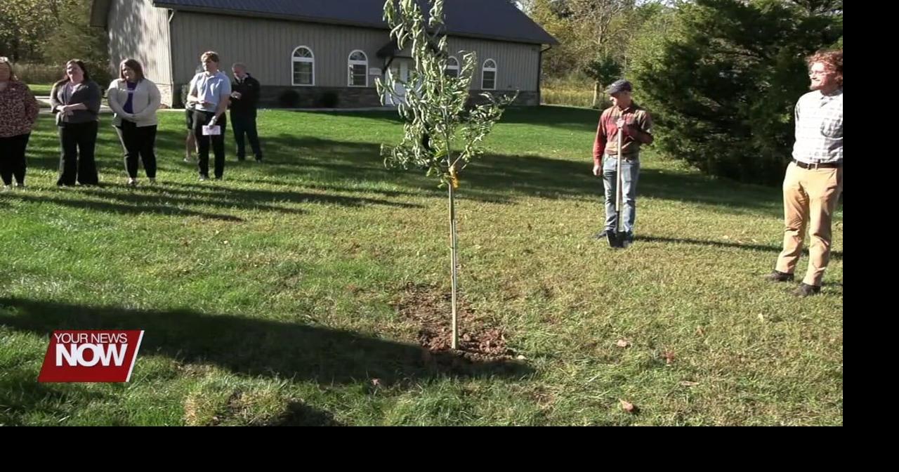 Victims of domestic violence honored with tree planting at Moyer Nature ...