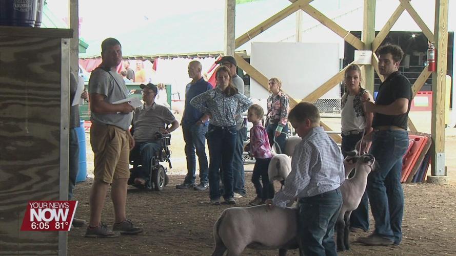Putnam County Fair host sheep competition on final day | News ...