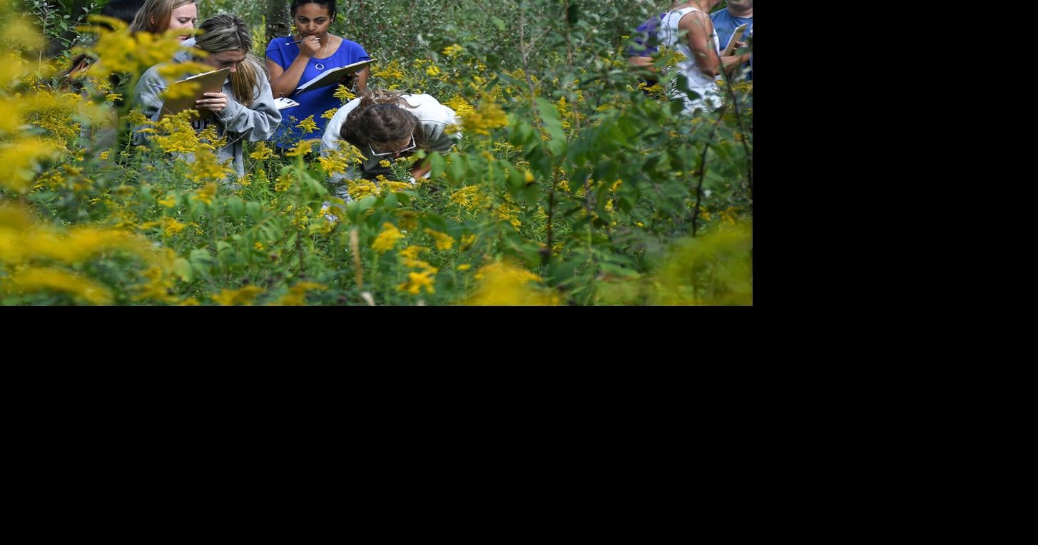 University of Findlay and Bluffton University to Host BioBlitz 2024 | News | hometownstations.com