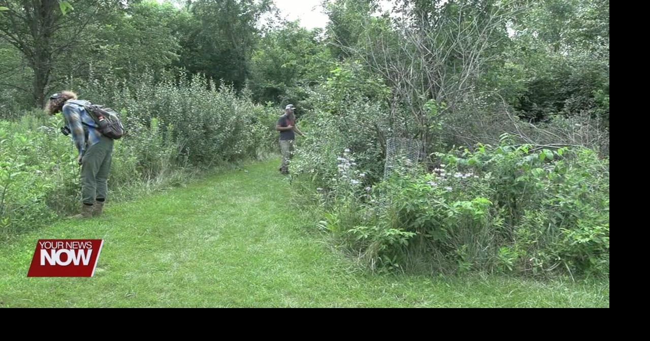 University of Findlay and Bluffton University partner in a volunteer effort to catalog local ...