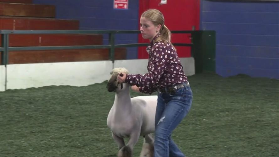 4-H Spotlight: Hungry bidders come out to support 4-H Junior Fair ...