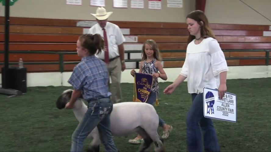 4-H Spotlight: Hungry bidders come out to support 4-H Junior Fair ...