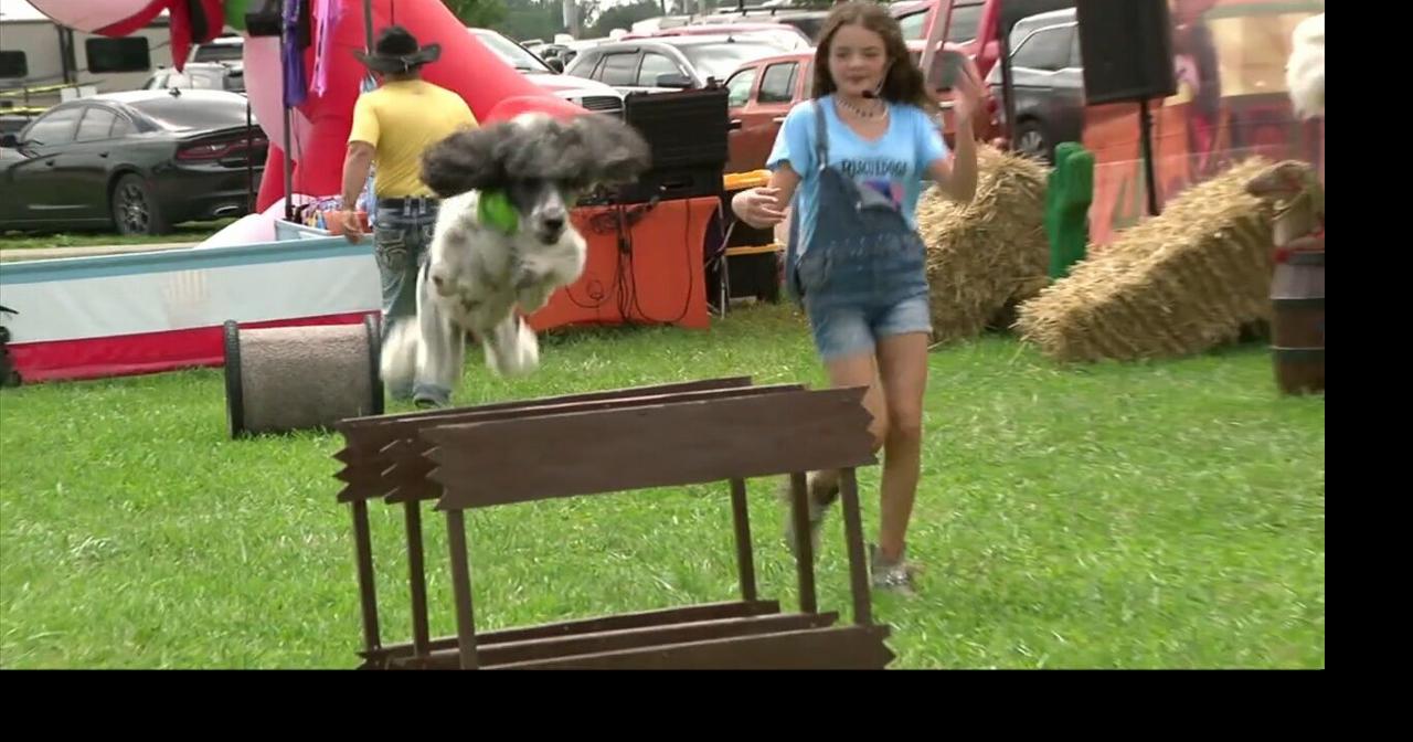 Free entertainment fun galore at the Allen County Fair | News ...