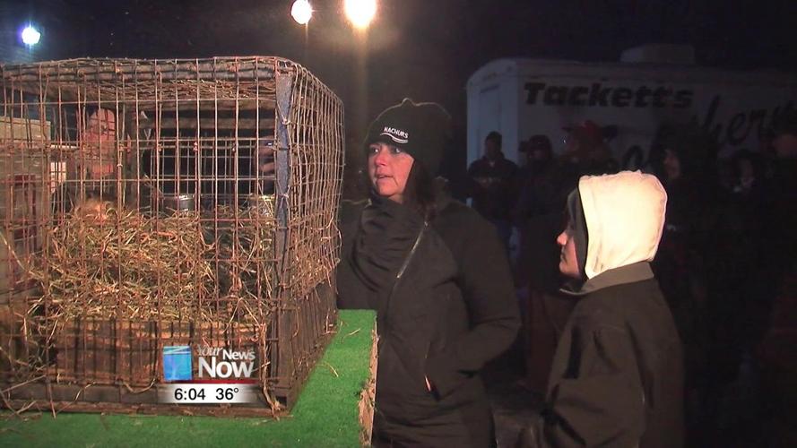 Buckeye Chuck predicts early spring | News | hometownstations.com