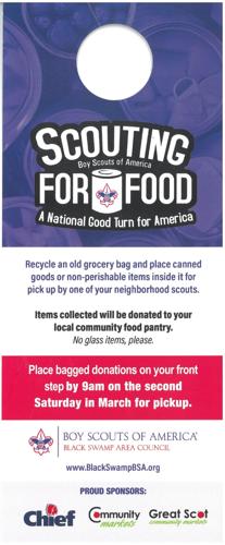 Boy Scouts of America participating in Scouting For Food Campaign ...