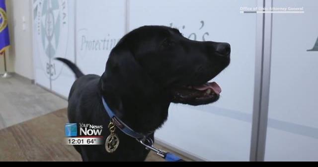 Electronic Sniffing K9 | News | hometownstations.com