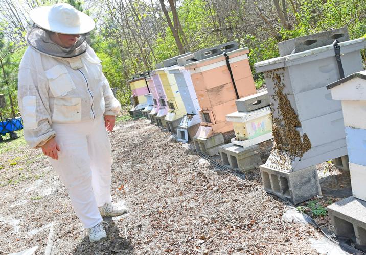 High Point woman takes beekeeping to the next level | Life | hpenews.com