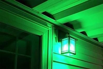 Local governments bring attention to ‘Operation Green Light ...