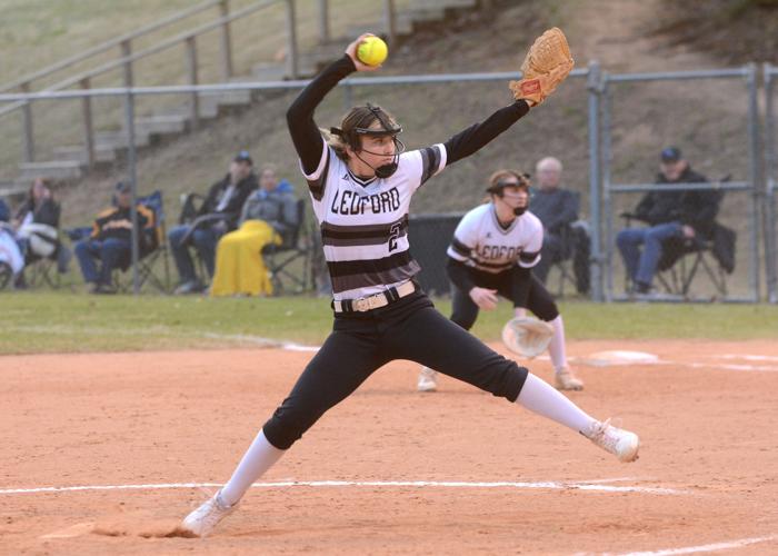 LOCAL ROUNDUP: Oak Grove softball outlasts Ledford in extras | Sports ...