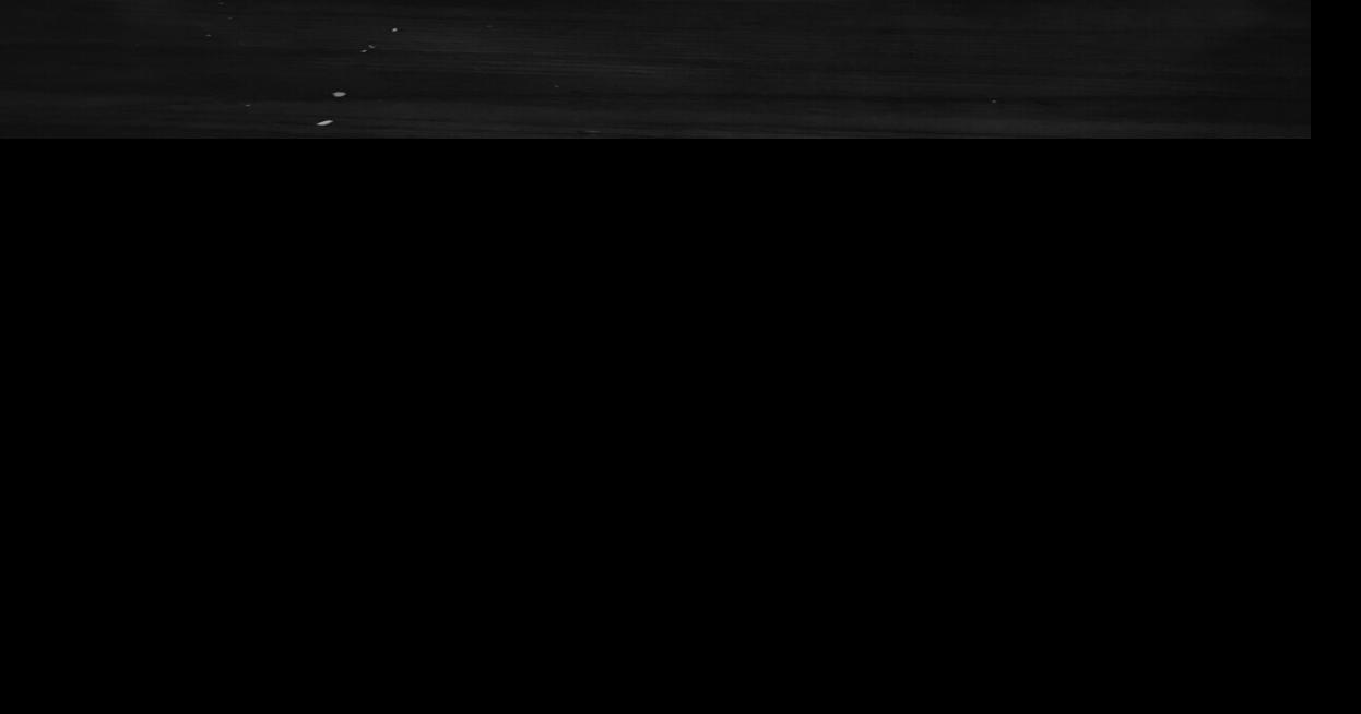 Sheree Jones | Obituaries | hpenews.com